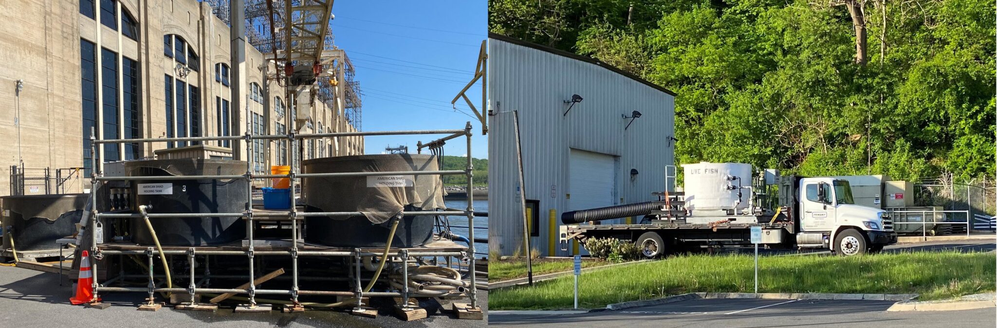 Visit to the Conowingo Dam - Normandeau Associates