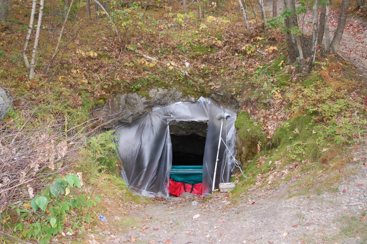 Unique Habitats of the Eastern Small-Footed Bat - Normandeau Associates