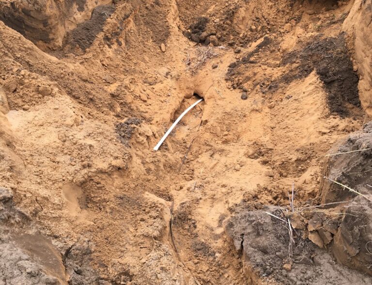 Digging with Gopher Tortoises - Normandeau Associates