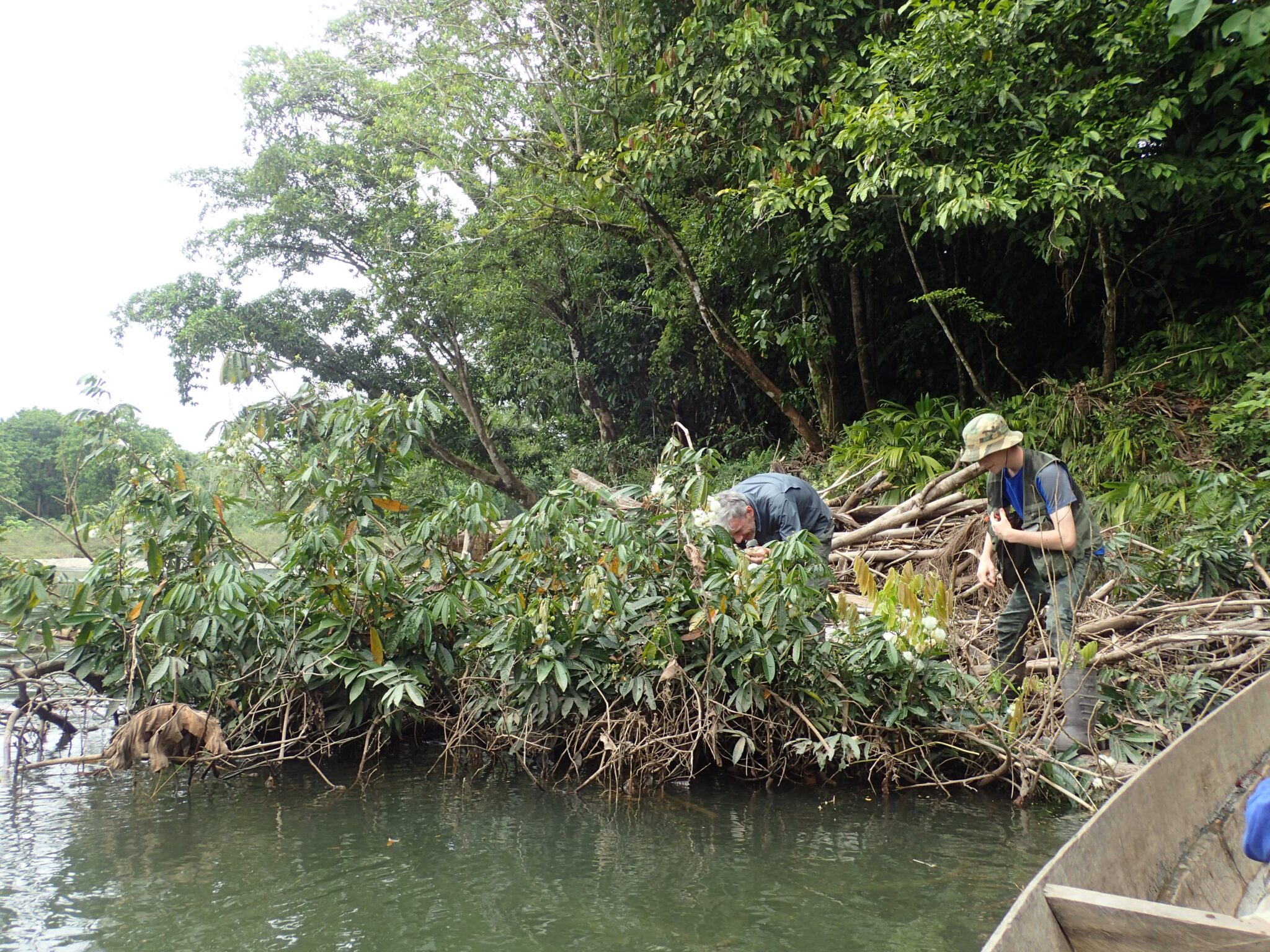 Lepidopterological Expedition to Southeastern Ecuador—What We Did on ...