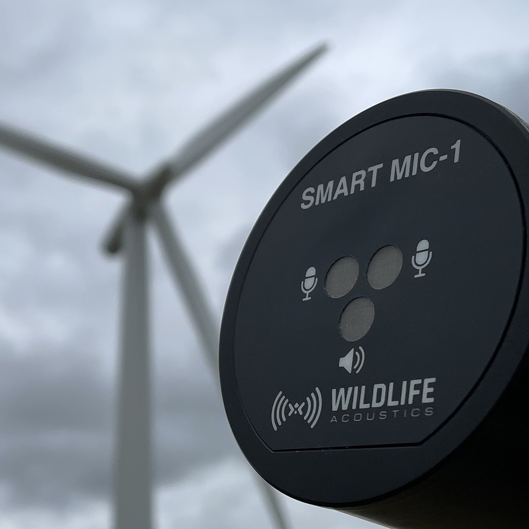 TIMR® and Wildlife Acoustics’ SMART System - Normandeau Associates